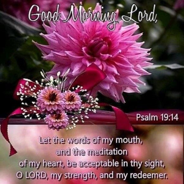 Bible Quotes with Good Morning Greetings: A Daily Dose of Inspiration