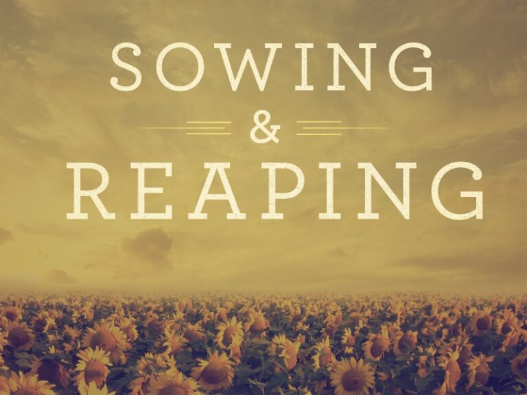What the Bible Says About Sowing Seeds: A Guide to Spiritual Growth