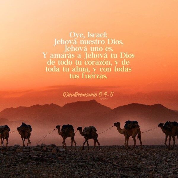 Amarás a Jehová tu Dios con todo tu corazón: Un viaje hacia la plenitud