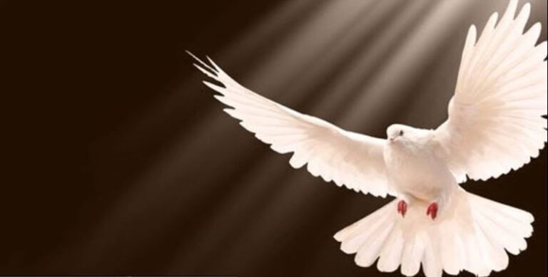 El poder del carisma en la Biblia: Una mirada a los líderes inspiradores