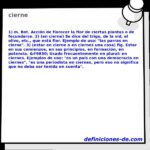 Cierne: Un Término Que Se Cierne en el Aire