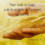 Ofrendar con alegría: Un resumen de 27 versículos y palabras para la ...