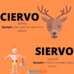 El Significado de "Siervo": Una Exploración Profunda