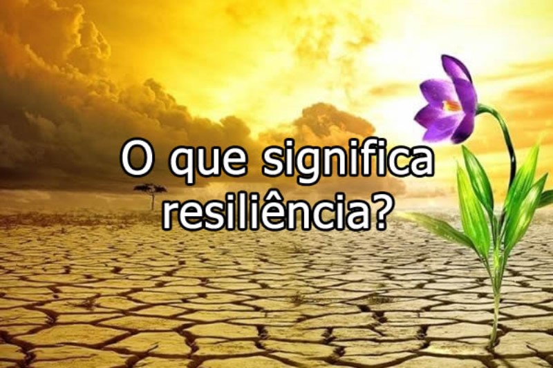 Resiliencia espiritual: El significado oculto para una vida plena