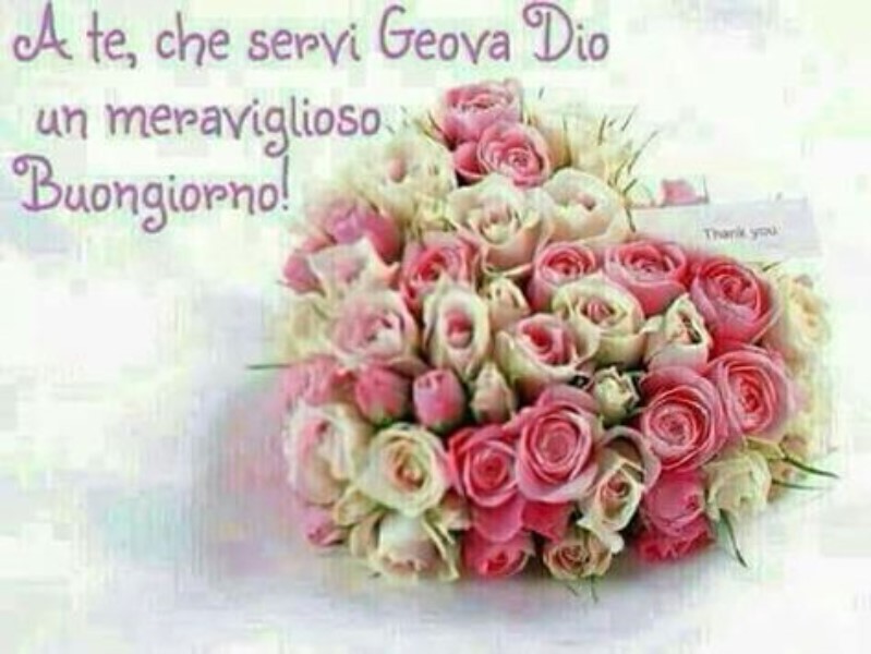 Buongiorno alla lode di Geova: un inno all'amore divino