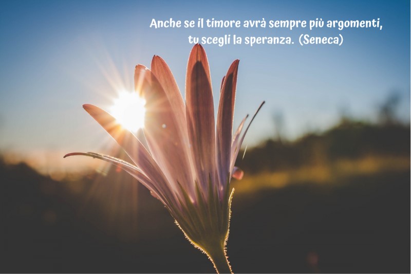 Messaggi di Speranza: Il Potere che Trasforma le Sfide in Opportunità