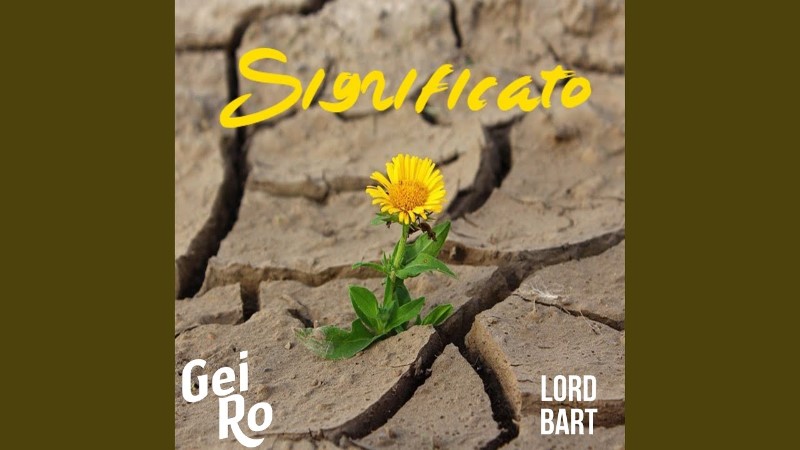 Particella: significato e ruolo nell'universo